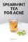 How Mint Water & Spearmint Tea Can Help Hormonal Acne - Inspire Beauty