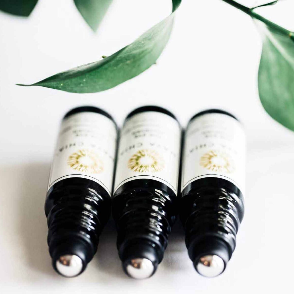 Maya Chia The Super Blend - Pressed Serum Multi-Correctional Moisture ...